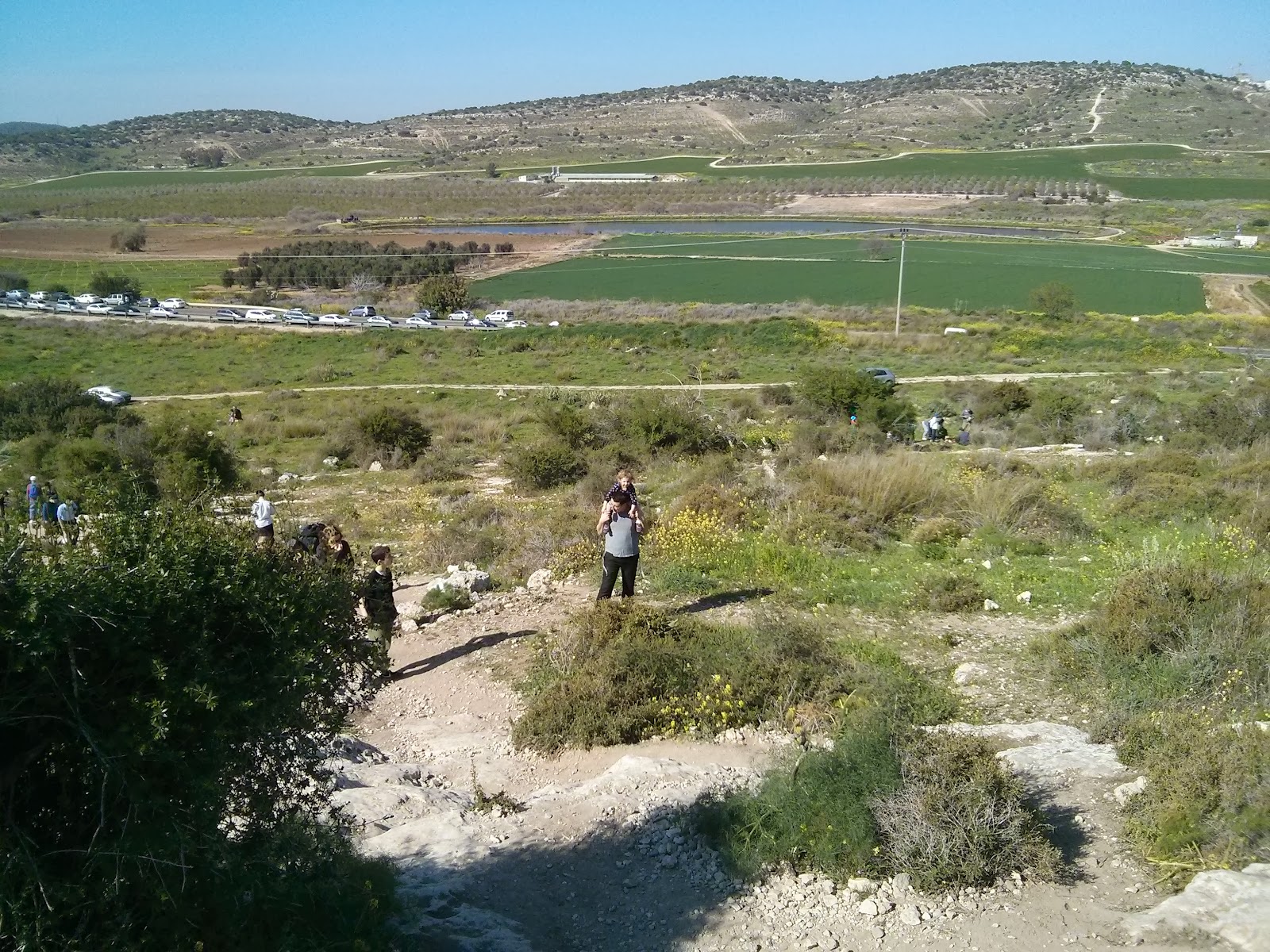 Life in Israel: Tiyul: Tel Soche, Givat HaTurmusin, Lupine Hill