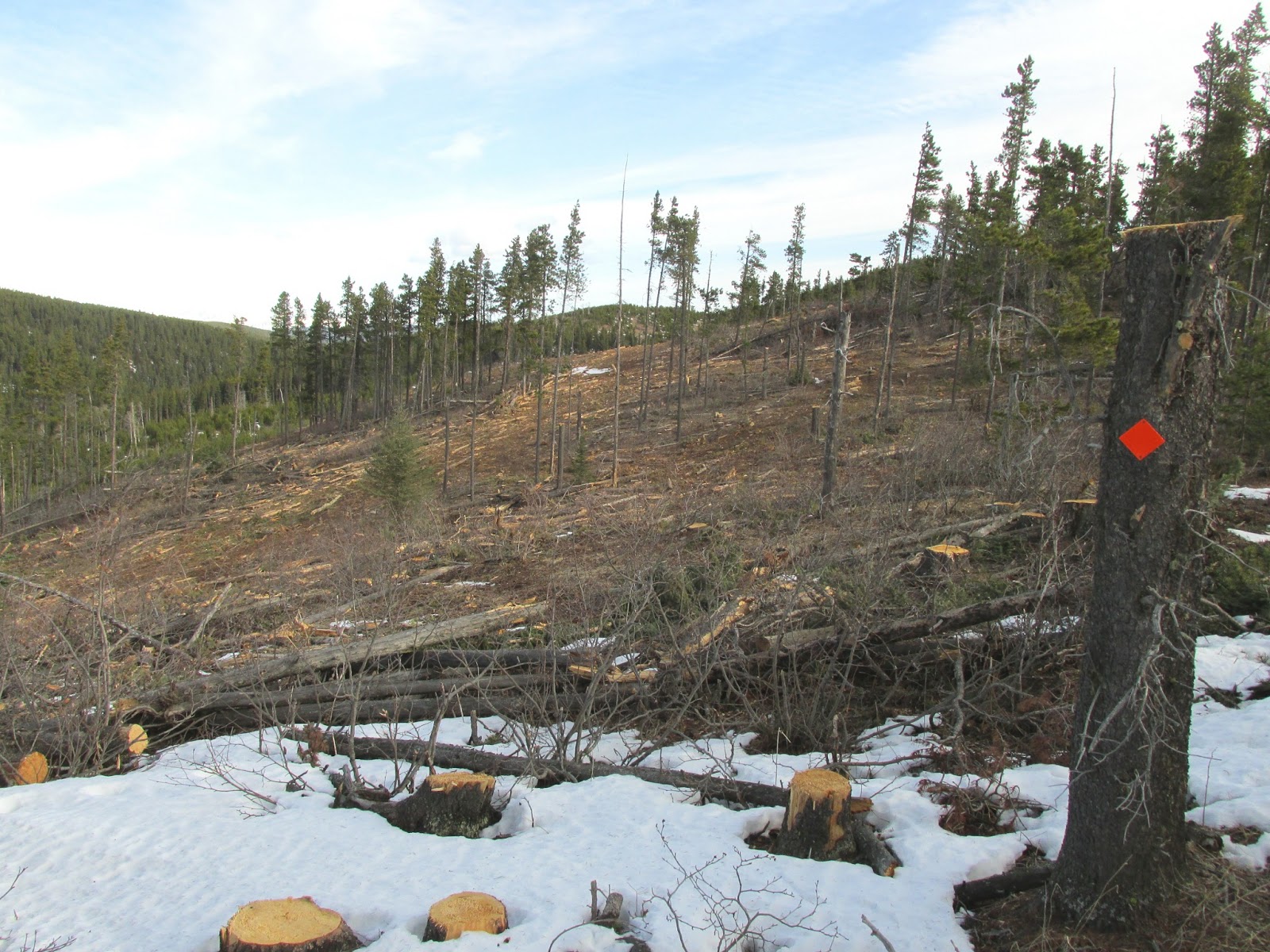 The Passionate Hiker: Long Distance Trail: Logging Pictures