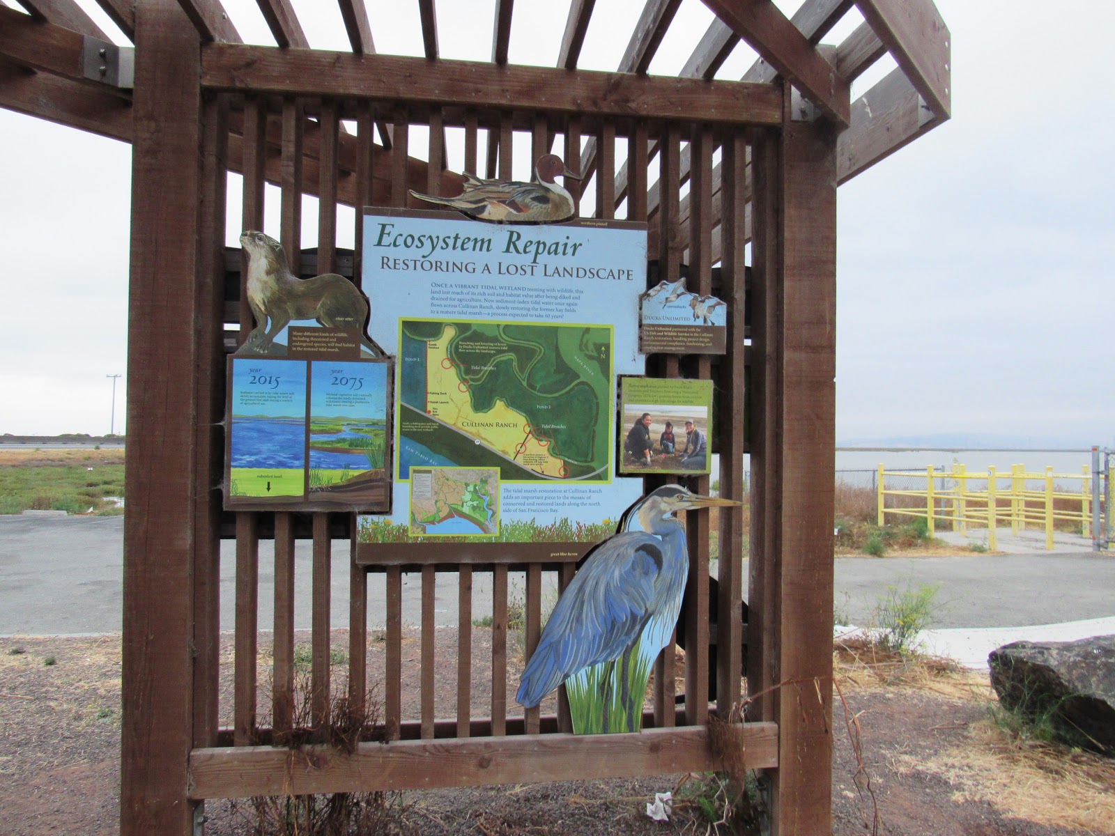 Wings and Daydreams: San Pablo Bay National Wildlife Refuge