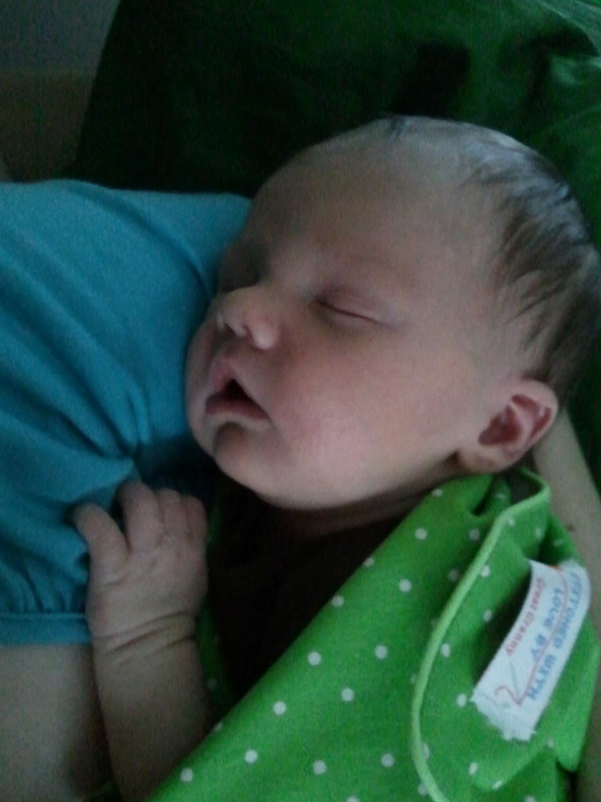 The 'Lowe' Down: Life, Love, and Lesson Planning