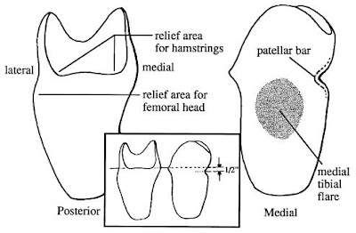 The Site for Healthcare Professionals: A Conventional Method to Make a ...