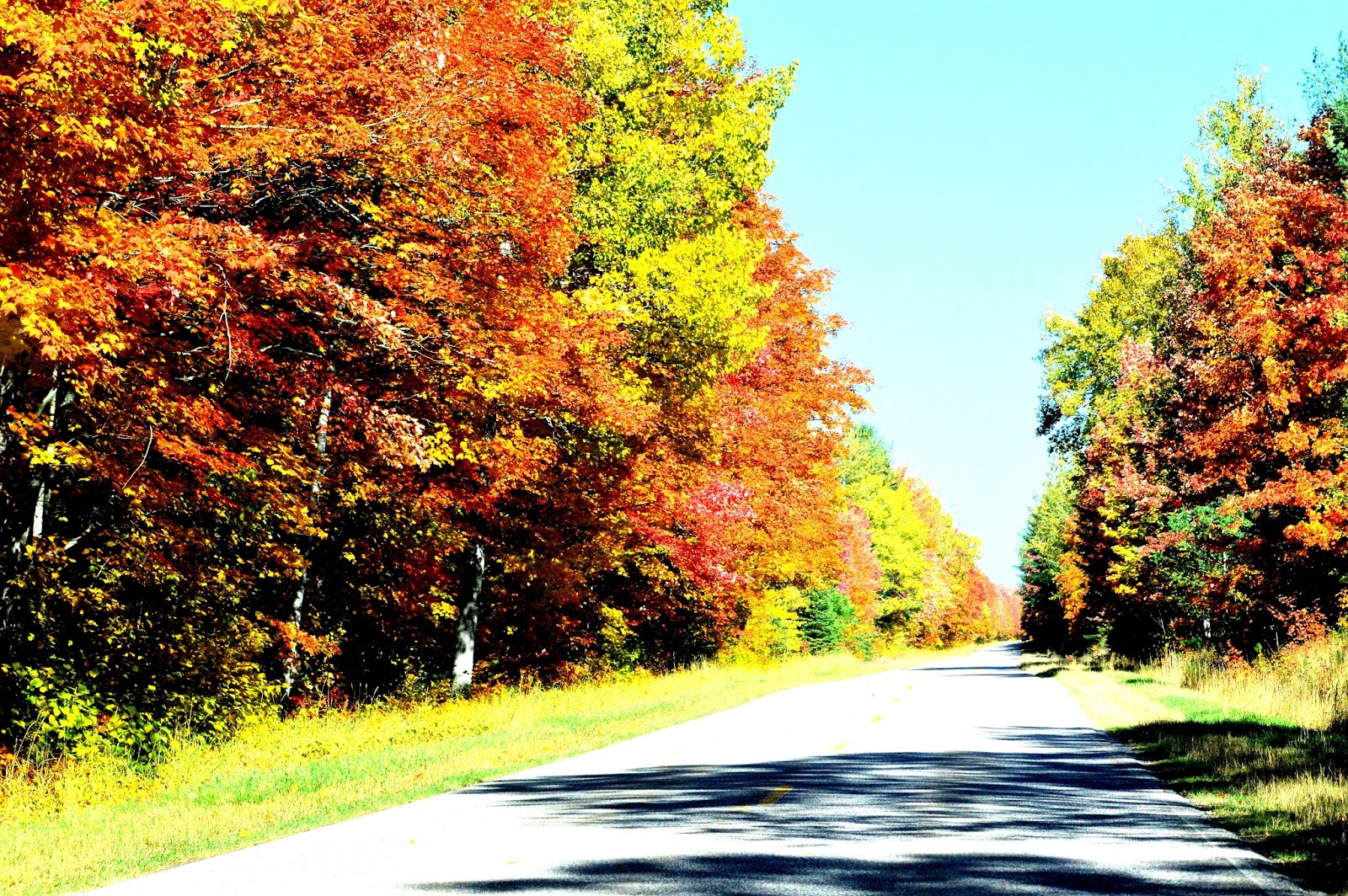 The Walking Stick: UP Fall Colors