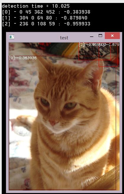 MareArts Computer Vision Study.: cat detection using latent SVM in opencv MareArts Computer Vision Study.: cat detection using latent SVM in opencv