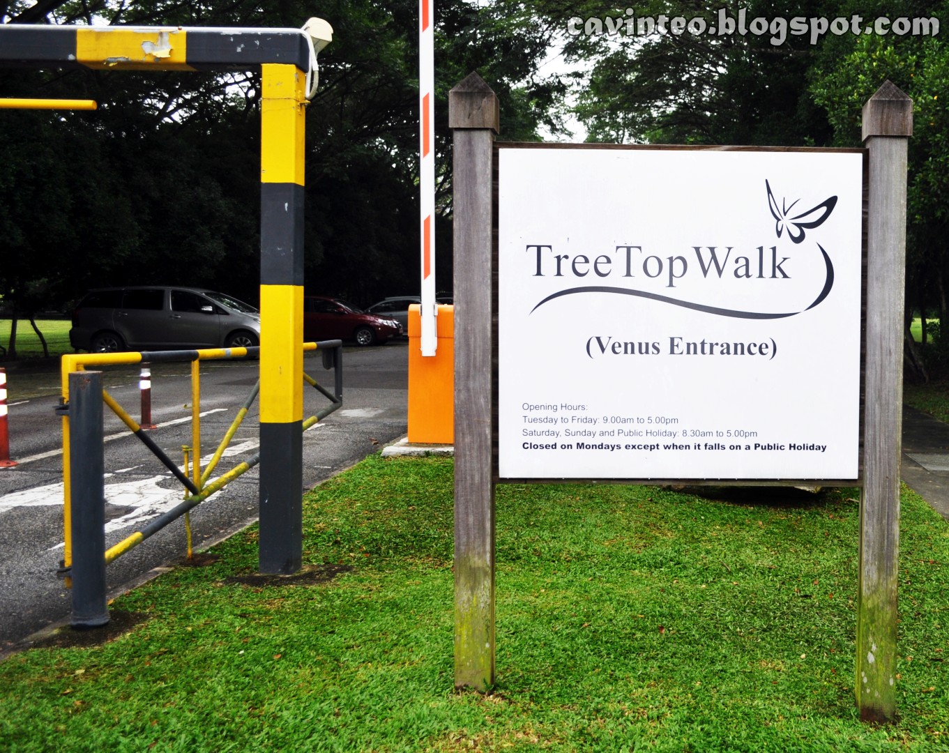 Entree Kibbles: HSBC Treetop Walk - A Refreshing Morning Trek ...