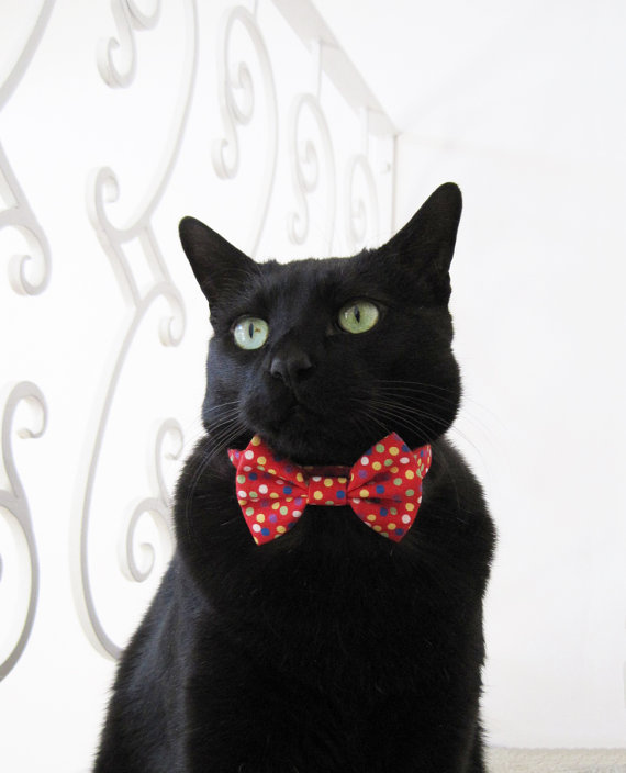 Catsparella: Snoop Catty Catt Bow Tie and Lady Cat Bow Giveaway!