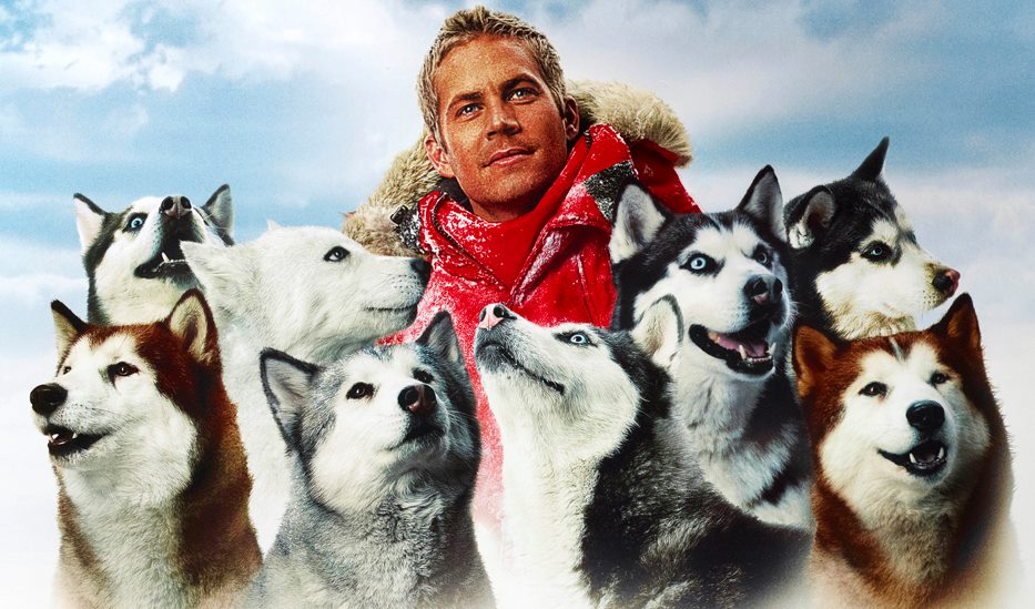 Eight Below Film : The Oscar Favorite