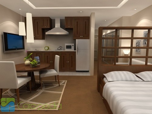 Desain Apartemen Tipe Studio Yang Elegan