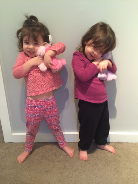 Potty Training Twin Girls - Leading the Double Life