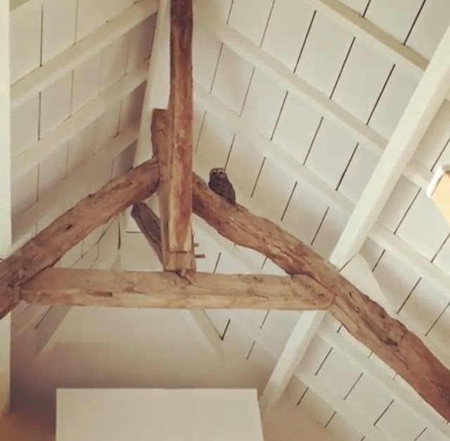 5th and state: Hand Hewn Beams