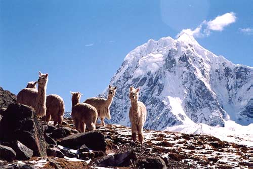Diversidad Fotográfica: Las 13 Montañas más Altas del Perú