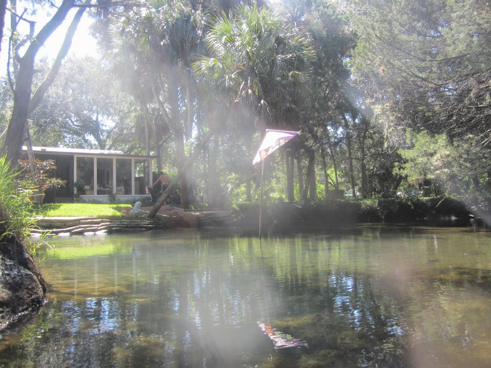 Dave's Yak Tales: Weeki Wachee, Mud River, and Salt Spring