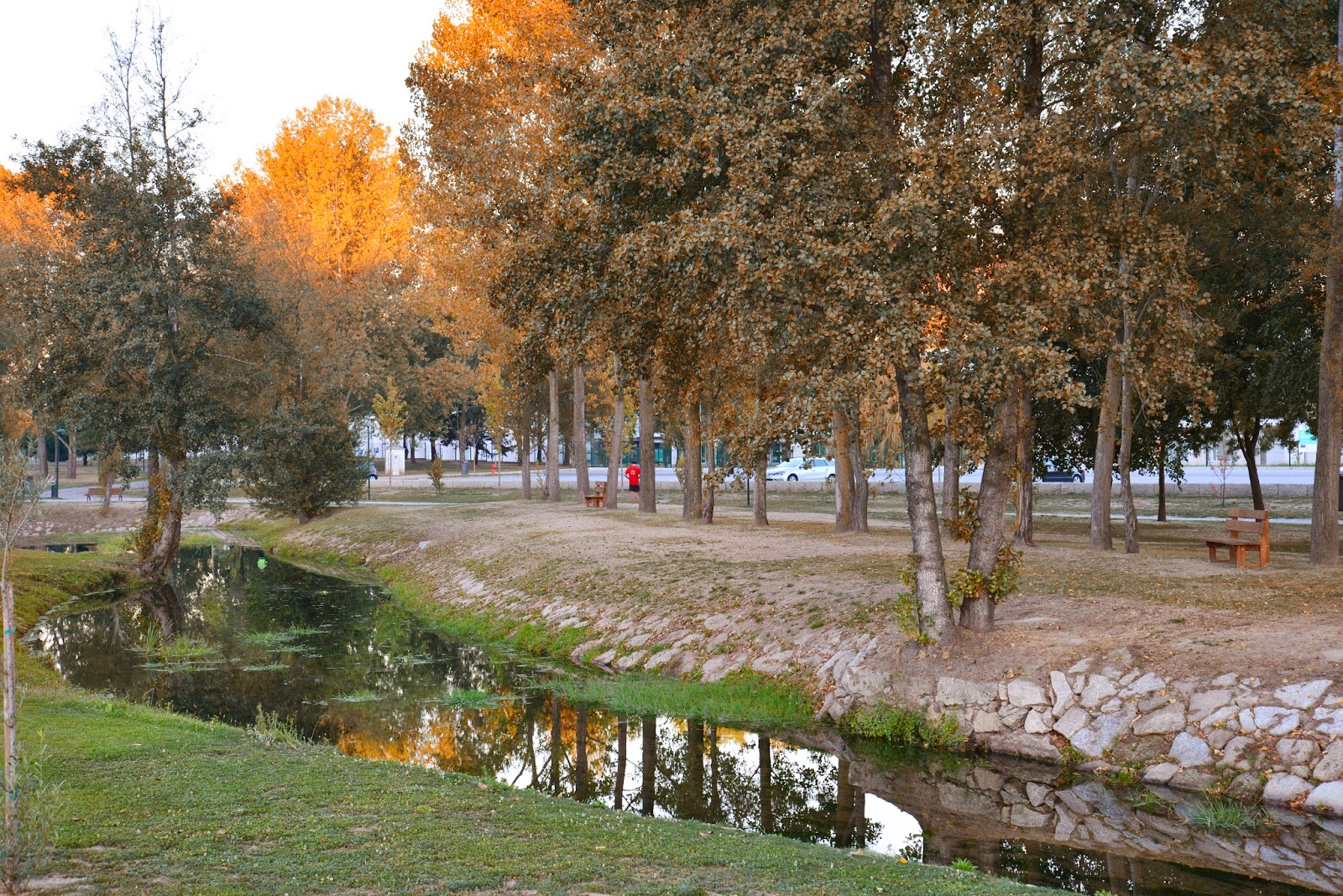 Blogue Carlos Moura Couto, Fotógrafo: Parque da Devesa Vila Nova Famalicão