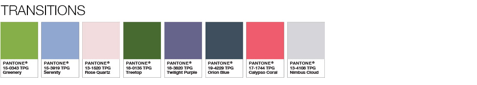 The Life of an Interior Design Student: 2017 PANTONE COLOR OF THE YEAR ...