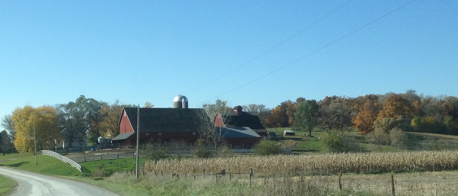 Amish Horses: Amish Fall
