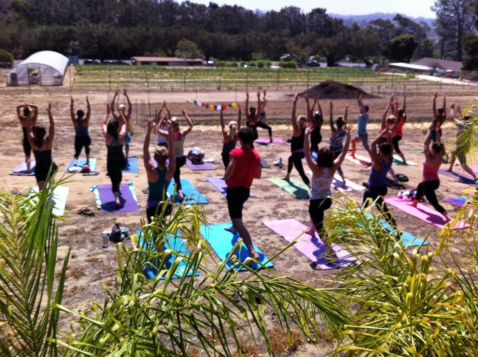 Zen Girl: Sunday Bliss: farm yoga + organic dinner