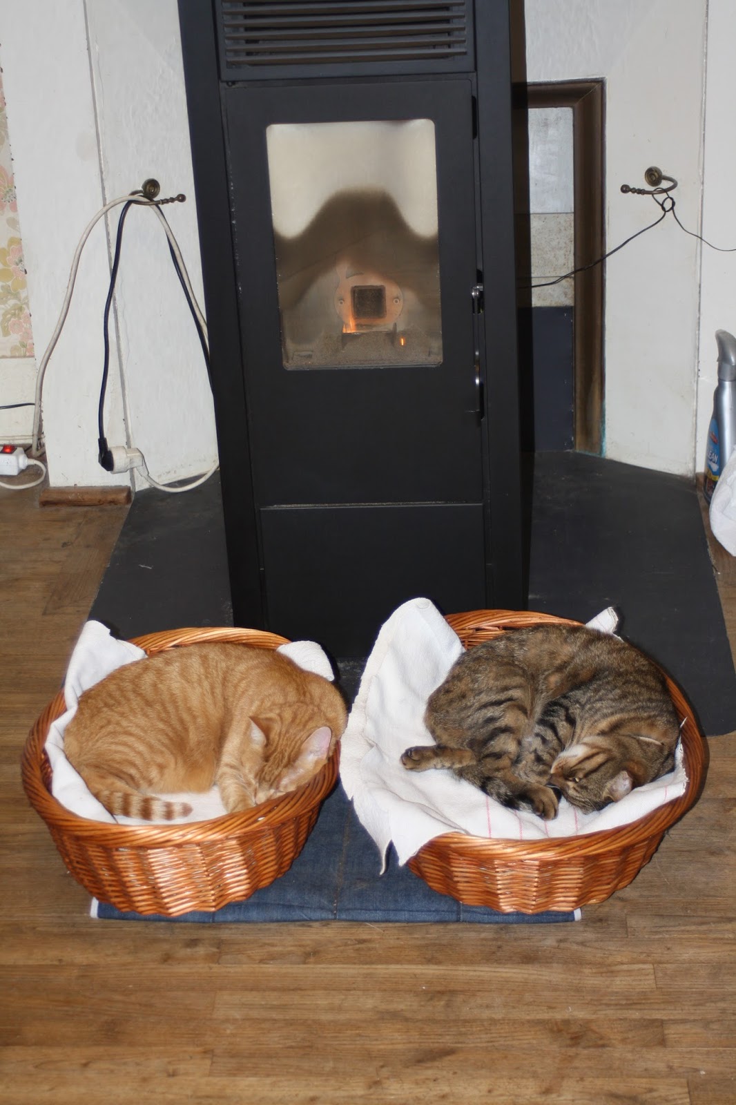 Debbie's Delectable Delights