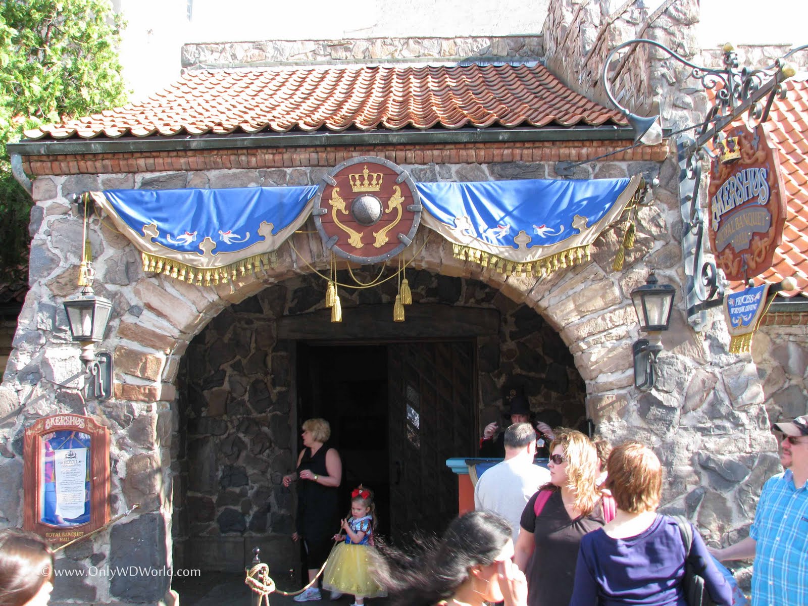 Disney Dining Plan? Three Disney World Restaurants You Must Try ...