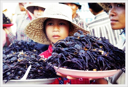 twenty2december™ : 10 Weird Food Delicacies From Around the World