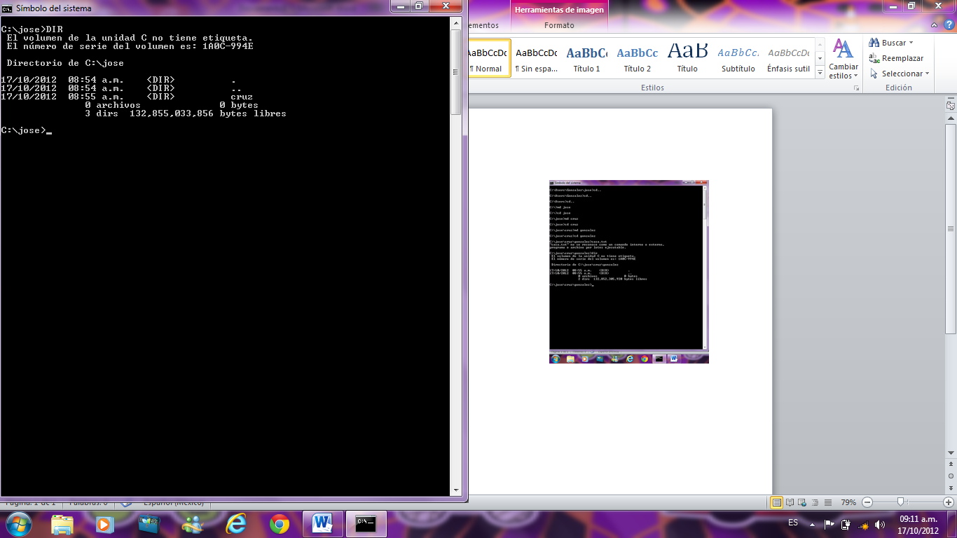 LA INFORMATICA: SÍMBOLO DEL SISTEMA
