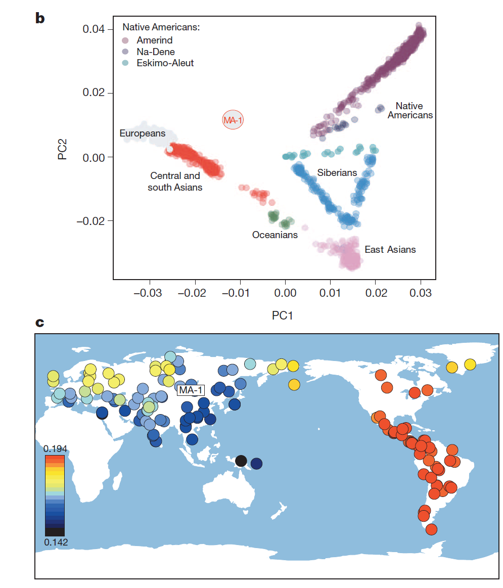 Anthromadness: ANE & its connection to Caucasus admixture