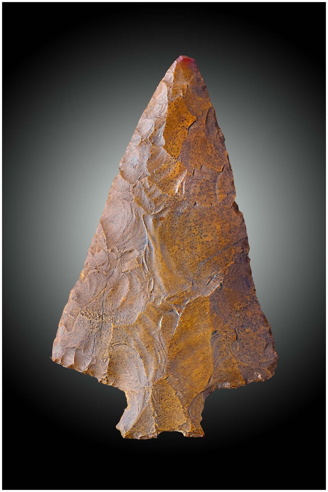 Susquehanna Valley Flintknappers: Point of the Month