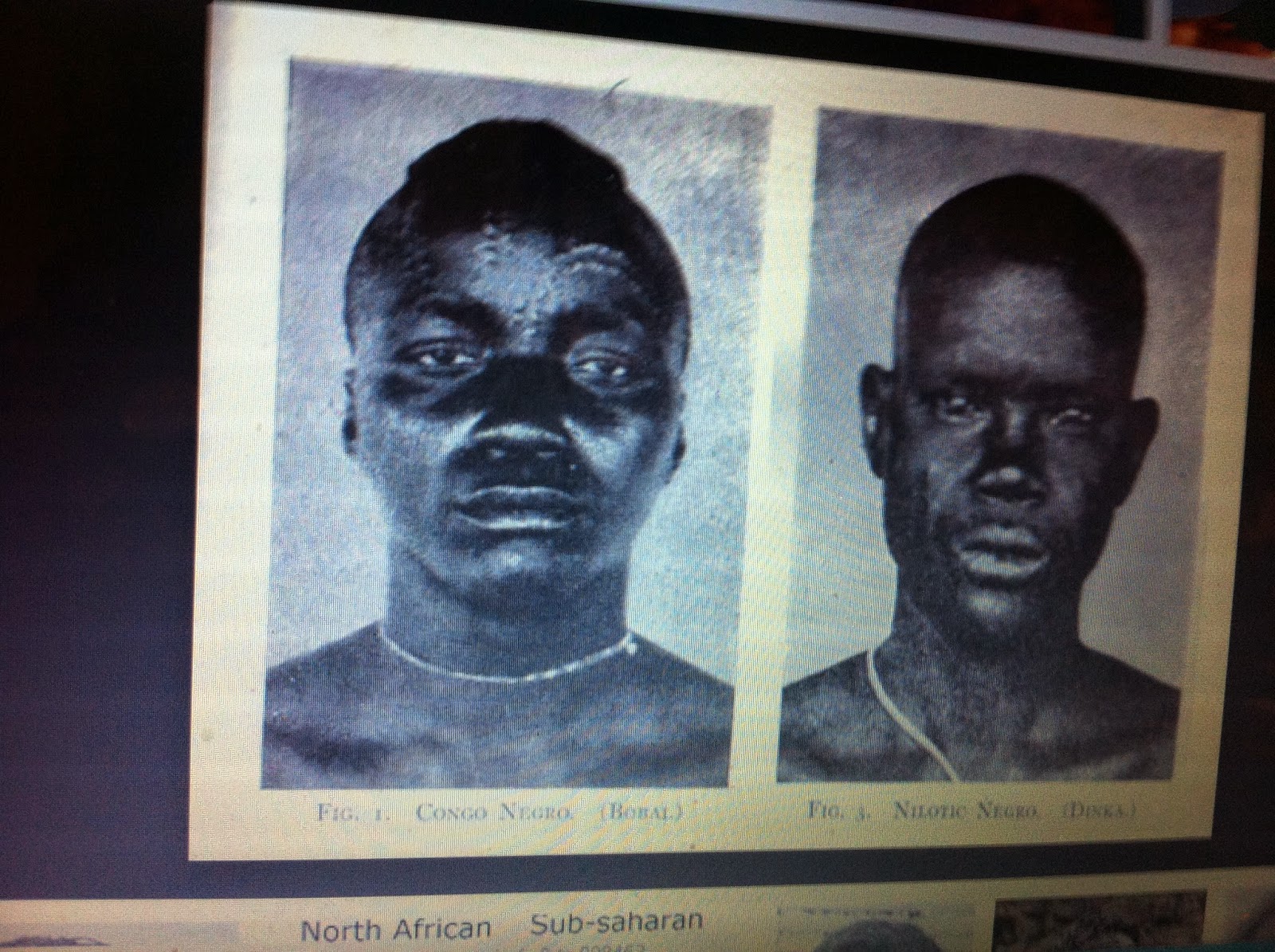 THE BLACK SOCIAL HISTORY:: BLACK SOCIAL HISTORY : NEGROID - IS THE TERM ...