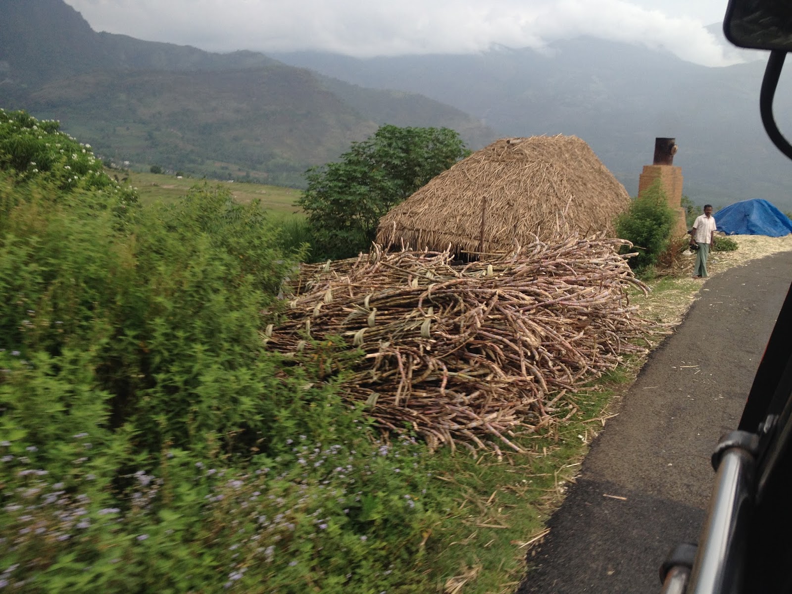 KANTHALLOOR THE LAND OF FRUITS | TOURIST ATTRACTIONS IN KANTHALLOR ...