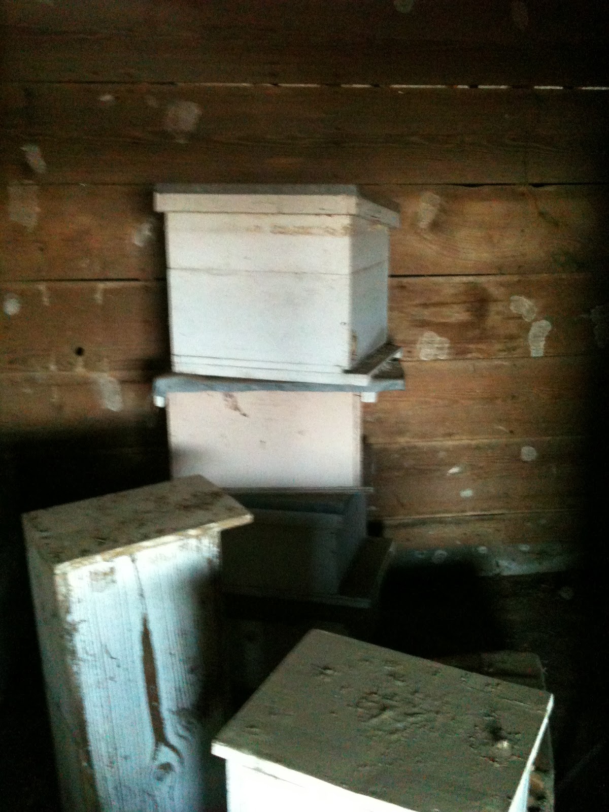 Cloud Hollow: Restoring Old Beehives by Ryan Murray