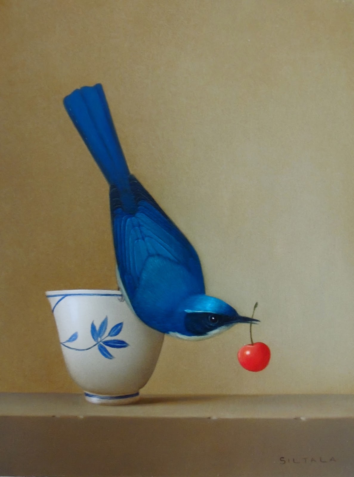 Chasing the Desert Sky: STILL LIFE