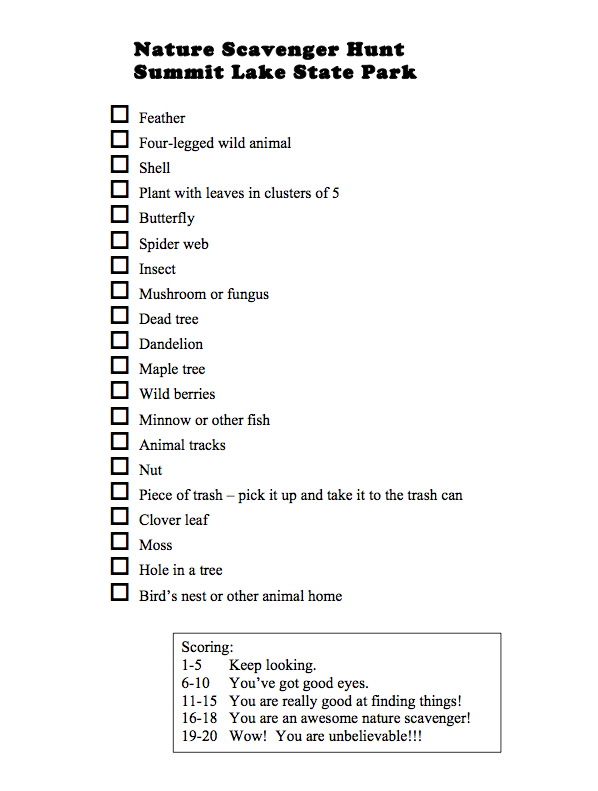 IndianaAnna: Summit Lake State Park Nature Scavenger Hunt