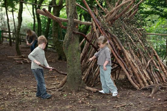 Yvonne Byatt's Family Fun: DEN BUILDING PARTY