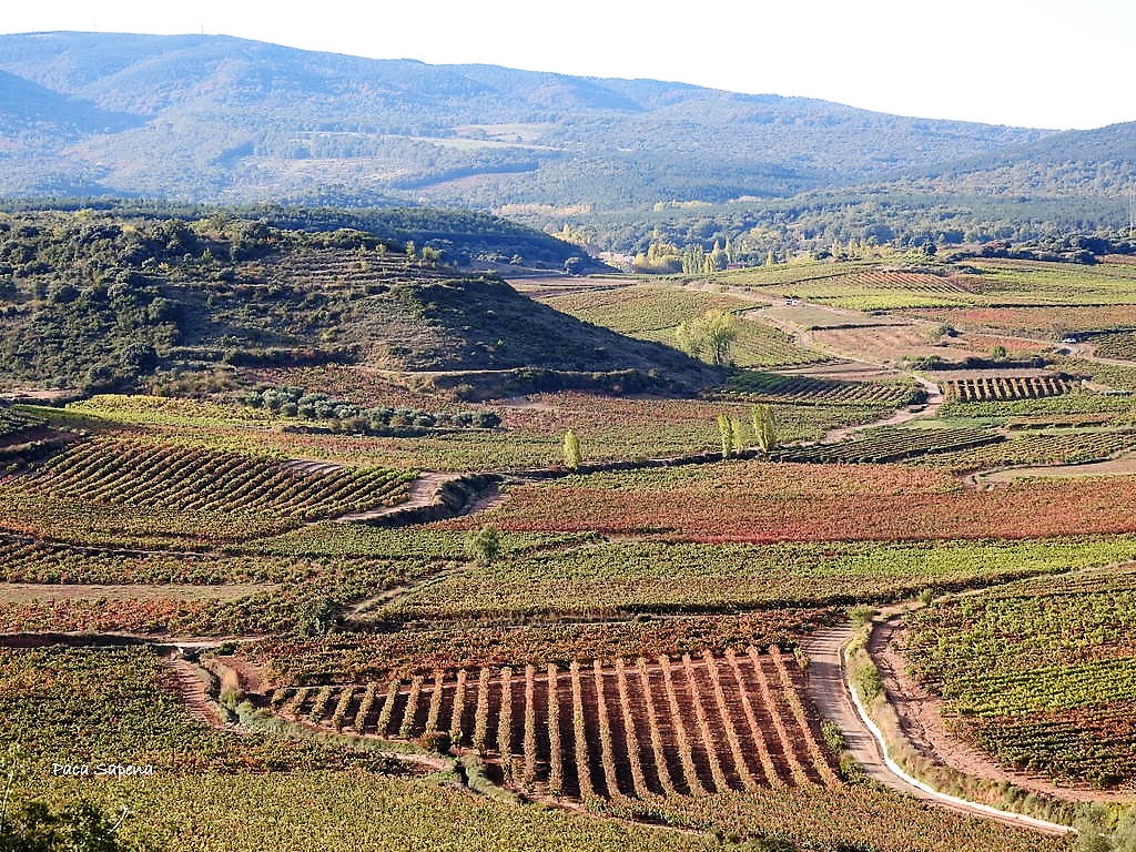 La Rioja de la A a la Z: OTOÑO DEL 2018 EN LA RIOJA