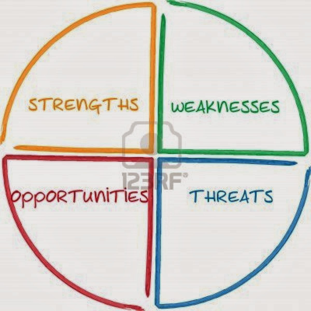 Sue's business and management: SWOT analysis and strategy