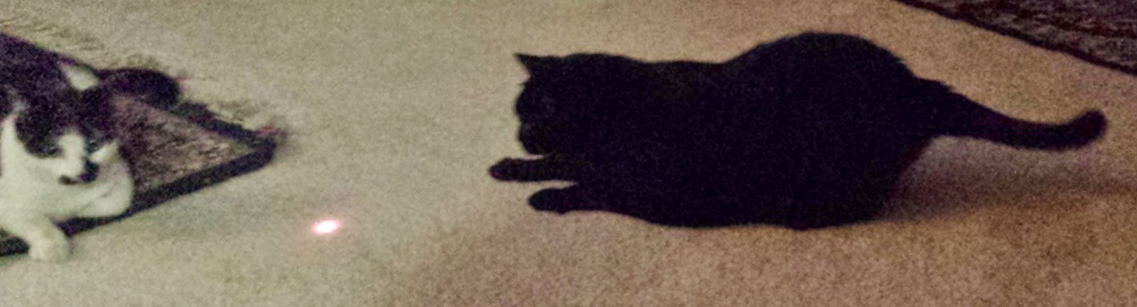 Inky Whisker's Musings: CNT Pick N' Mix ~ Domestic Animals & 3 Blues