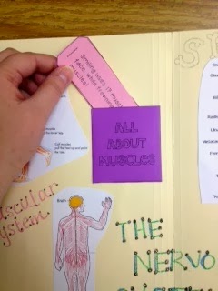 Miss Woodward's Class: All About the Human Body!