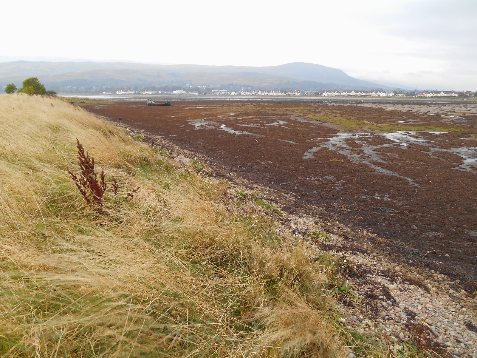 A lifetime of Islands: Island 250 - An Caol, Fort William, Highland ...