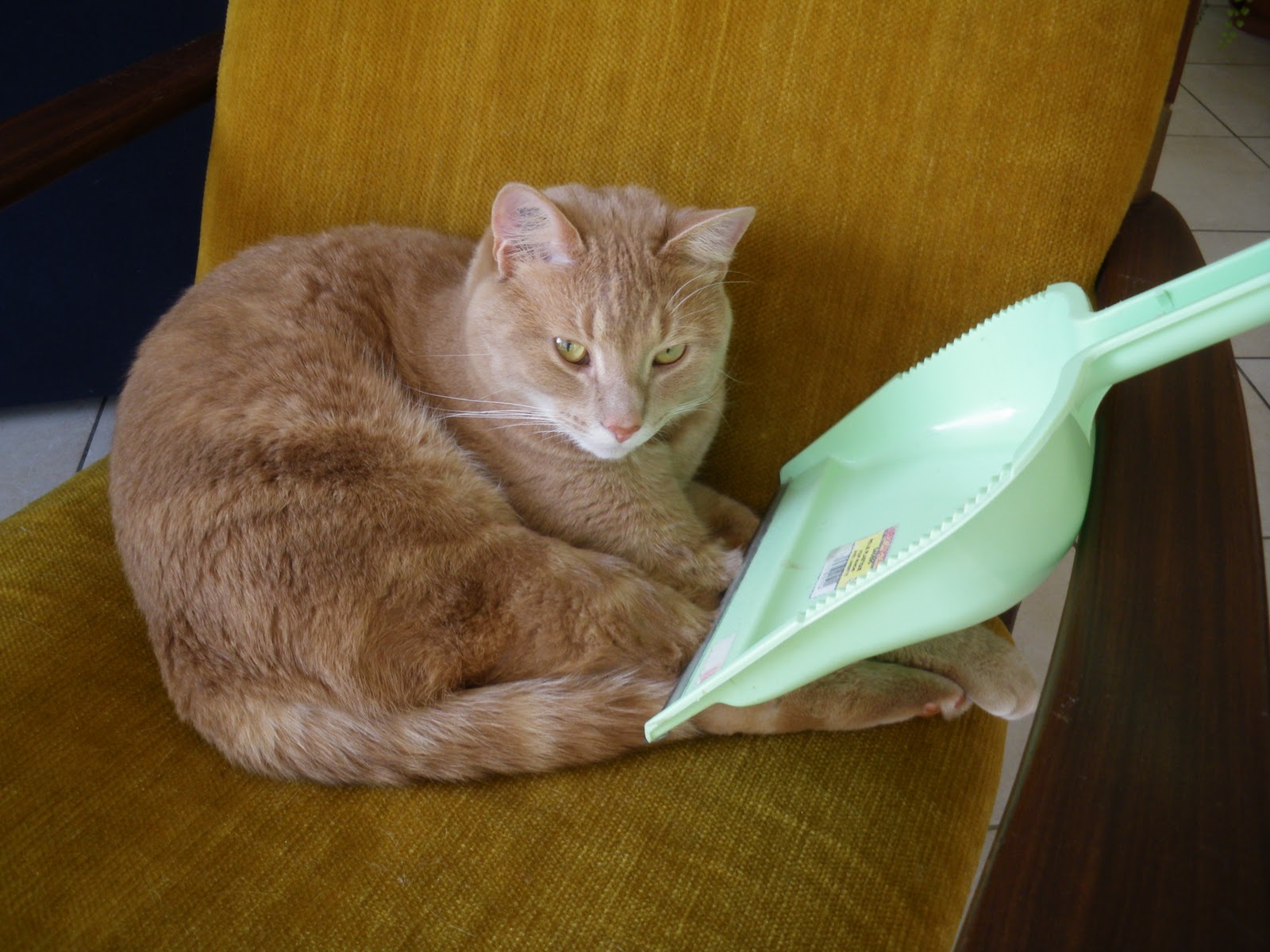 Et si on essayait...: Le rendez-vous du mardi soir...