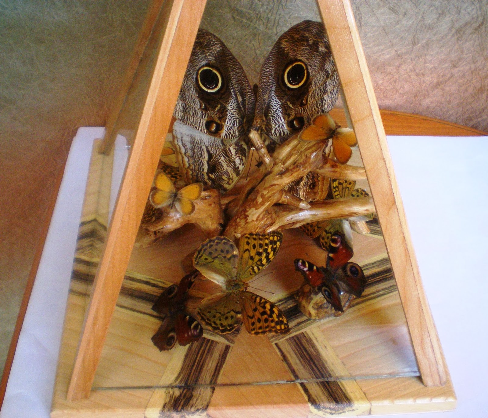 Fluturi Inramati : O lucrare plina de simbolistica : sub forma ...