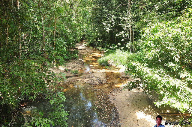 Lambir Hills National Park, Latak Waterfall Exploration with Wilson ...