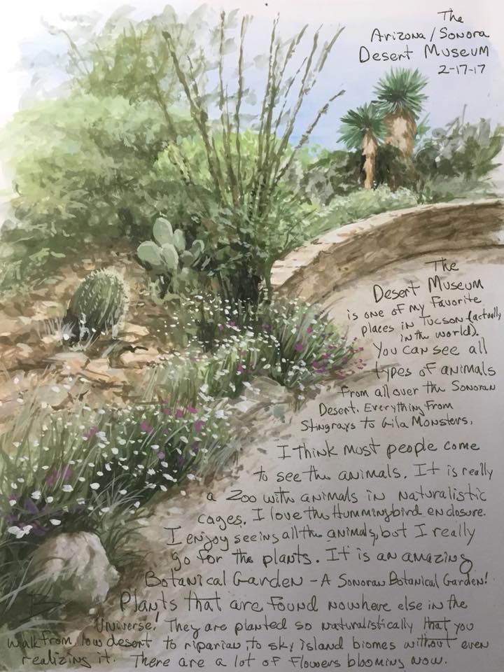 Bill Singleton: Nature Journal 2017