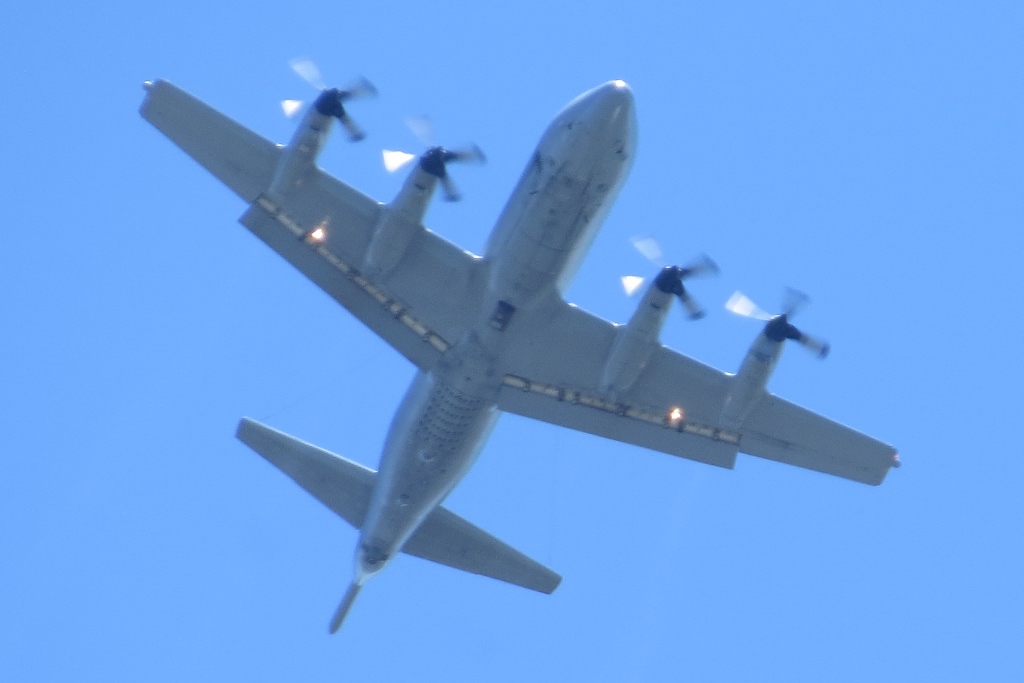 Central Queensland Plane Spotting: Royal Australian Air Force (RAAF ...