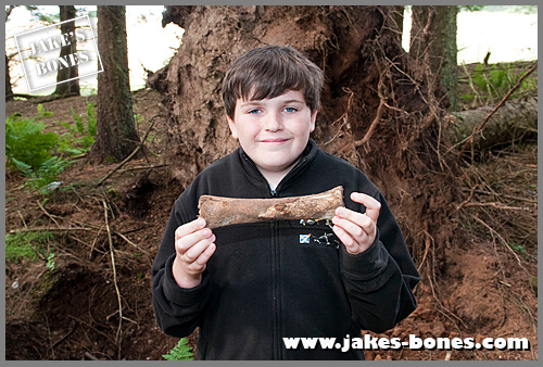 Zombie badgers and old buried bones : Jake's Bones