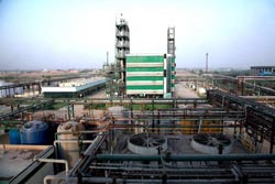 Value Picks: IOL CHEMICALS & PHARMA