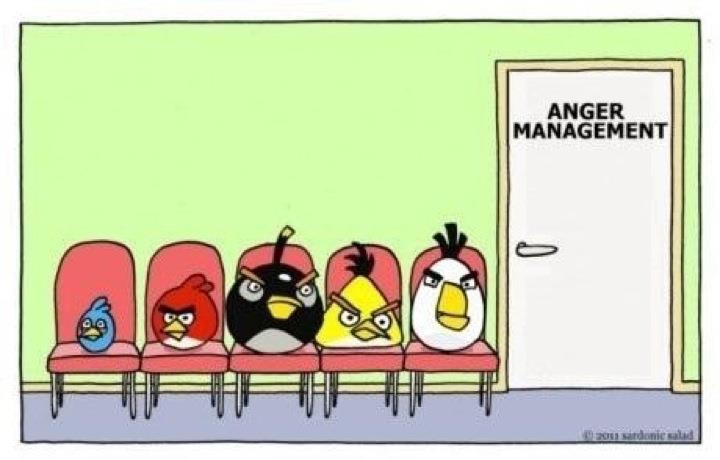 ANGRY BIRDS Anger Management