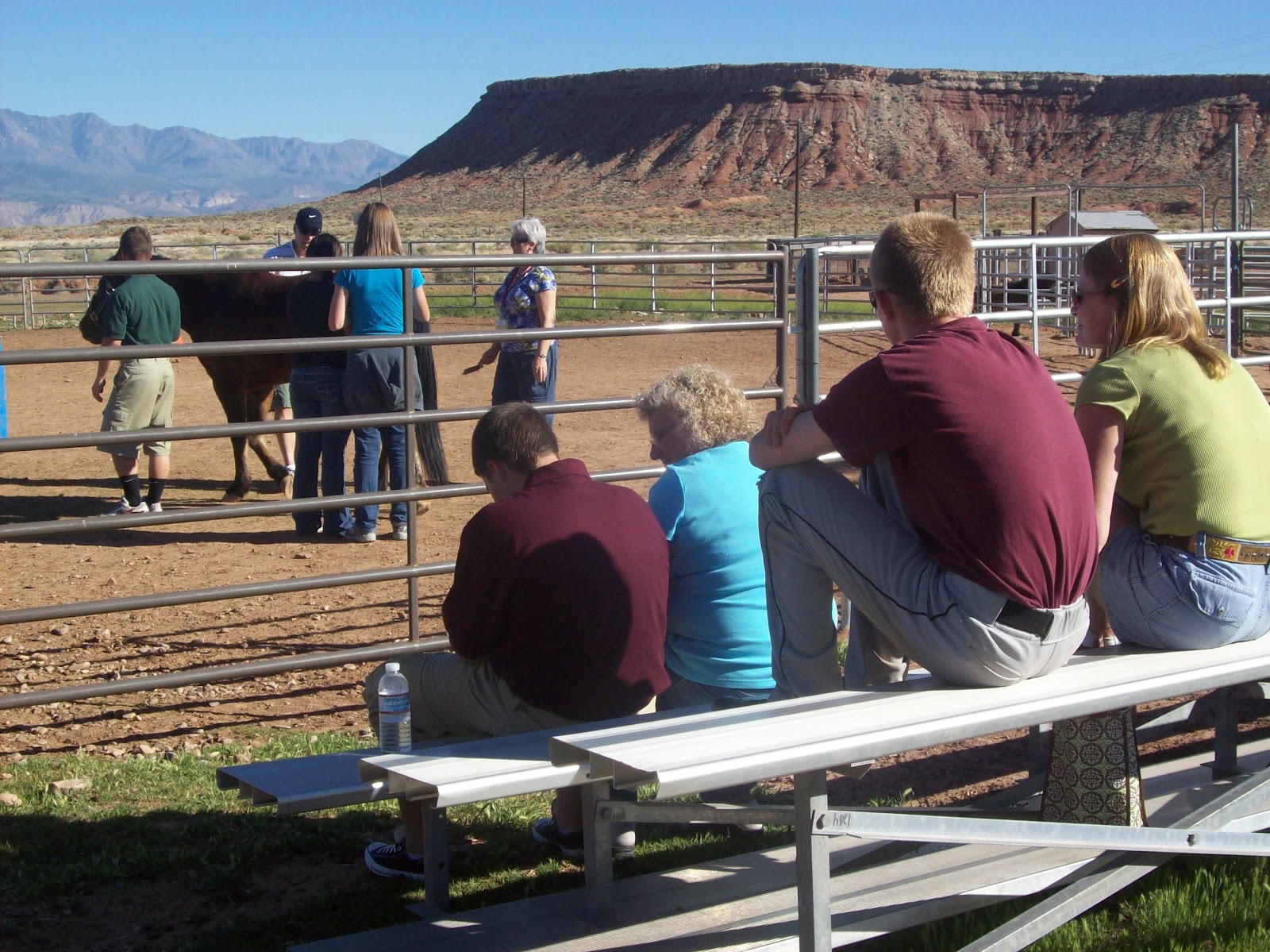 Diamond Ranch Academy | Therapy