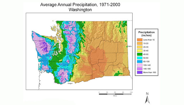 Every Day Is Special: November 11 – Washington!