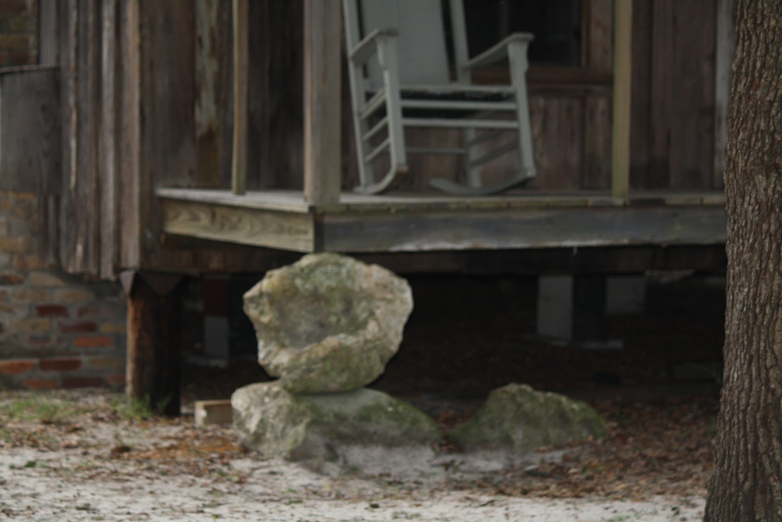 The Blue Whale and Other Travel Tales: Ocali Days at Silver River ...