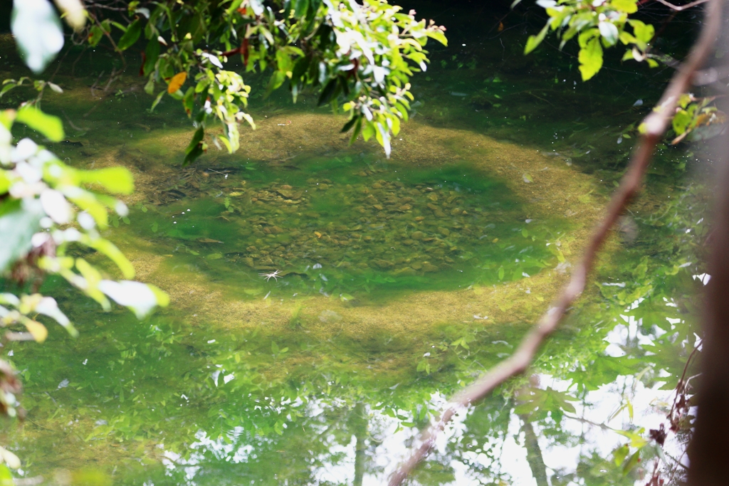 National Park Odyssey: November 2015