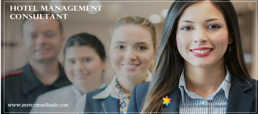 Hotel Management Consultant - MSV Consultant