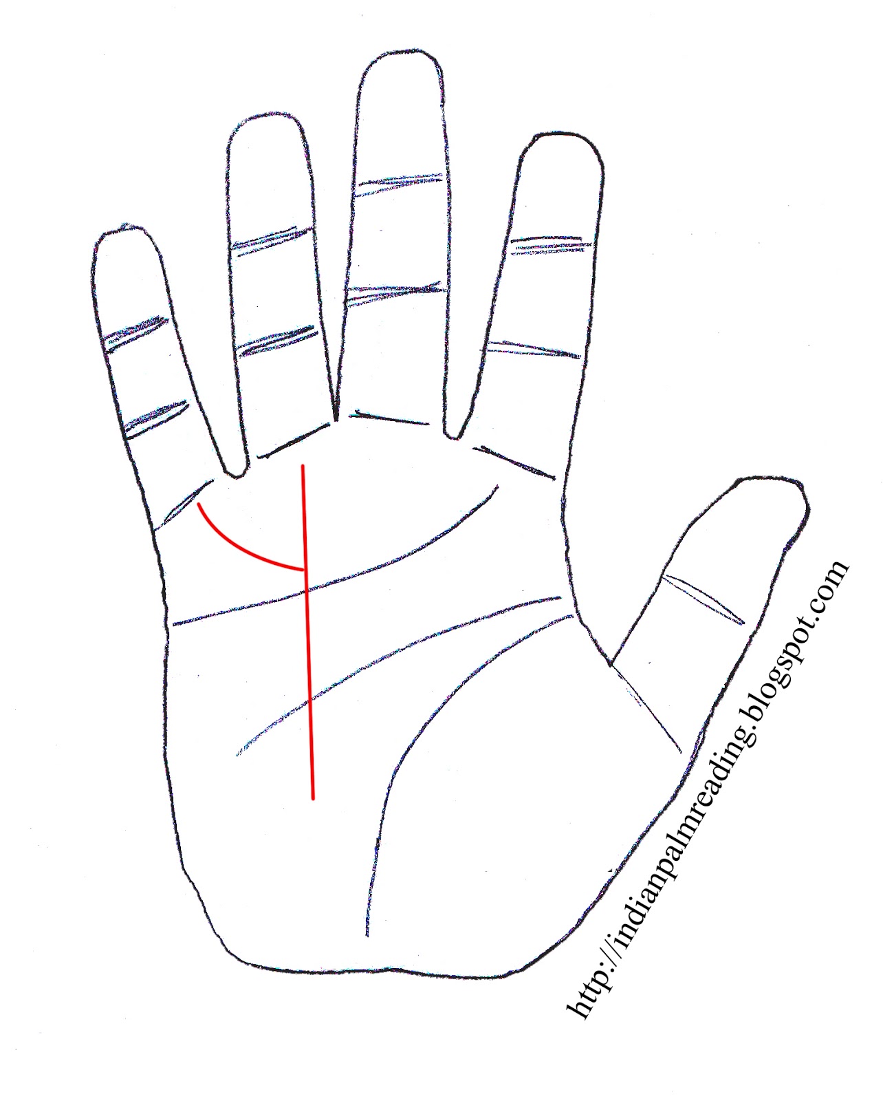 Branch Of Sun Line Goes Towards Mount Of Mercury Palmistry ~ INDIAN ...